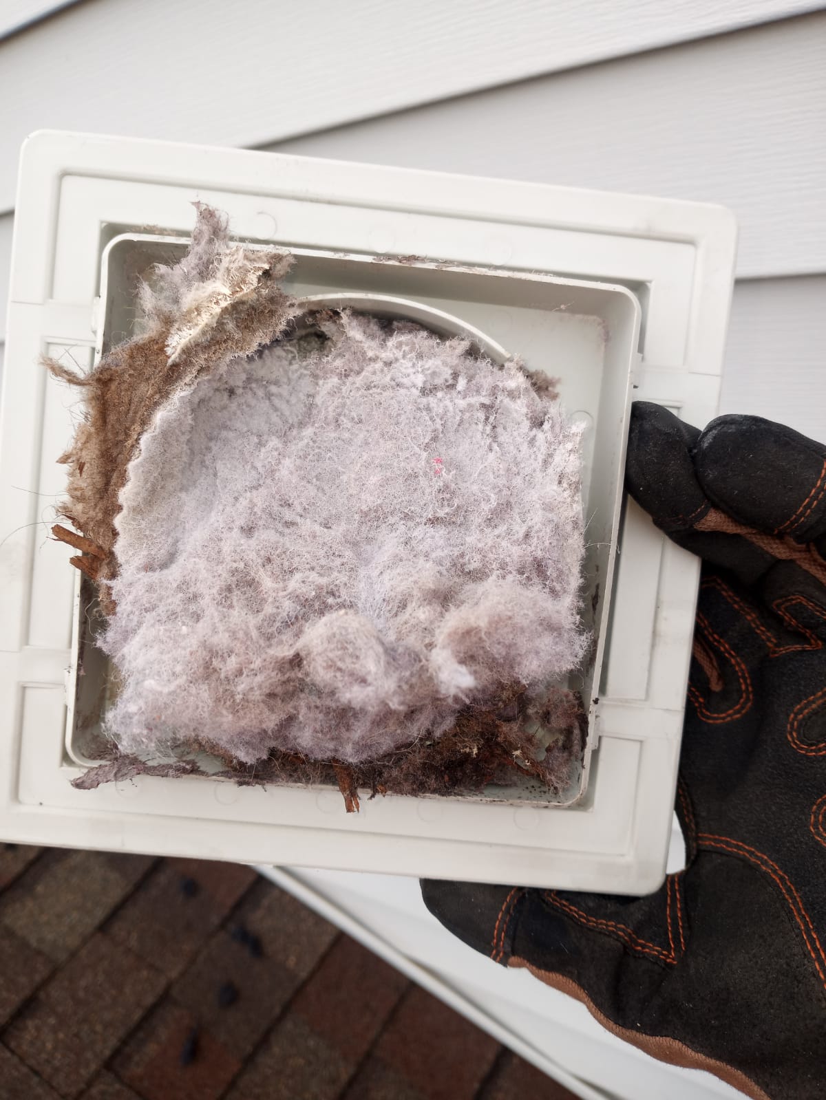 Dryer Not Heating [Troubleshooting Guide] | Quality Comfort